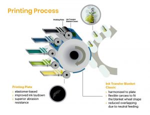 Beverage can: What you need to know before manufacturing - Tan Do