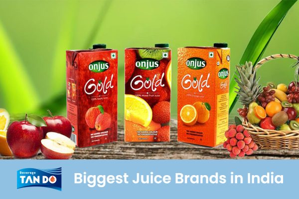Top 14 biggest juice brands in India 2023 - Tan Do