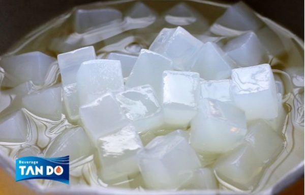 What is nata de coco? How do you make and drink it? - Tan Do